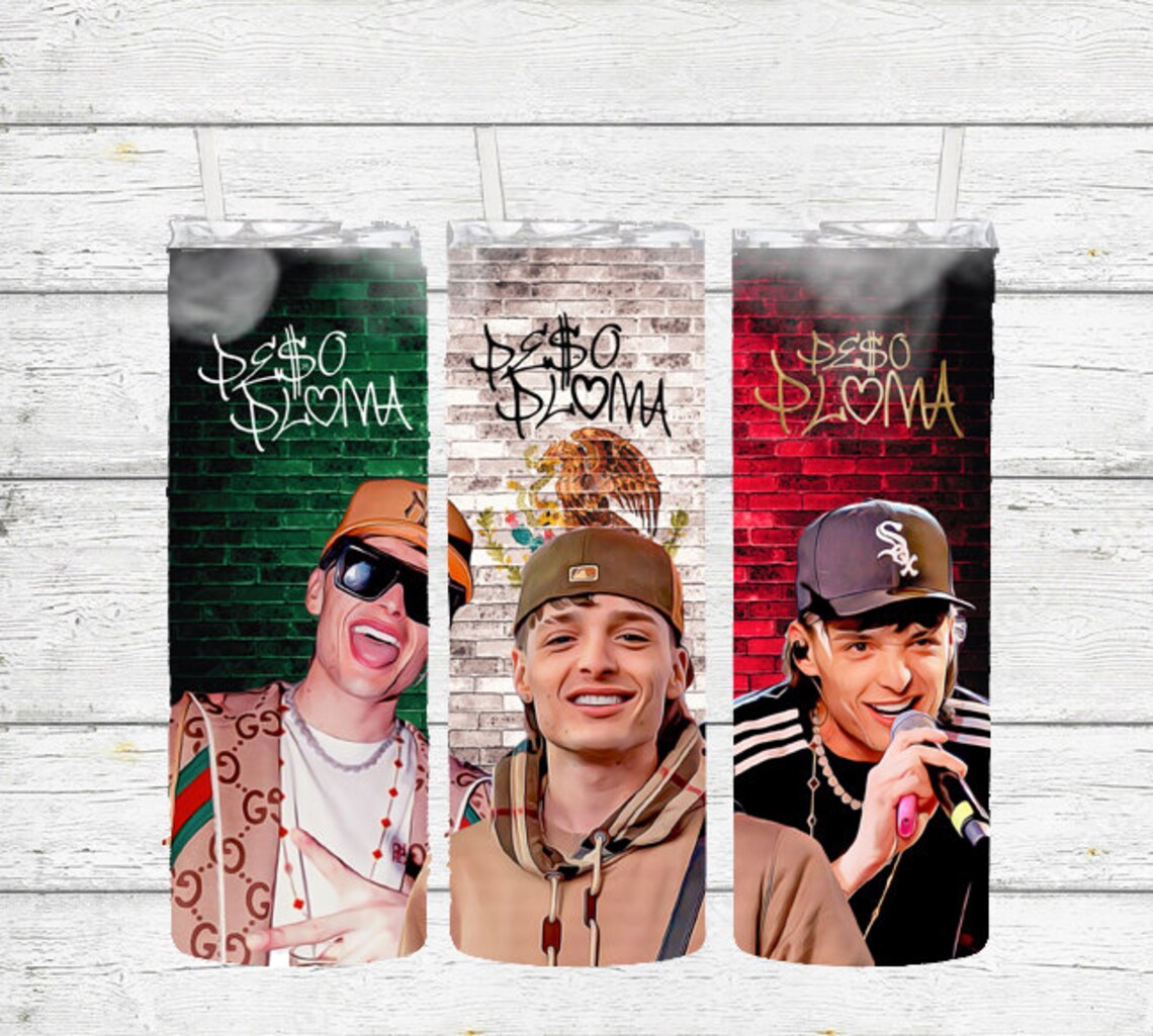 Peso Pluma 20oz Tumbler Cup With Straw Stainless Steel, Peso Pluma ...