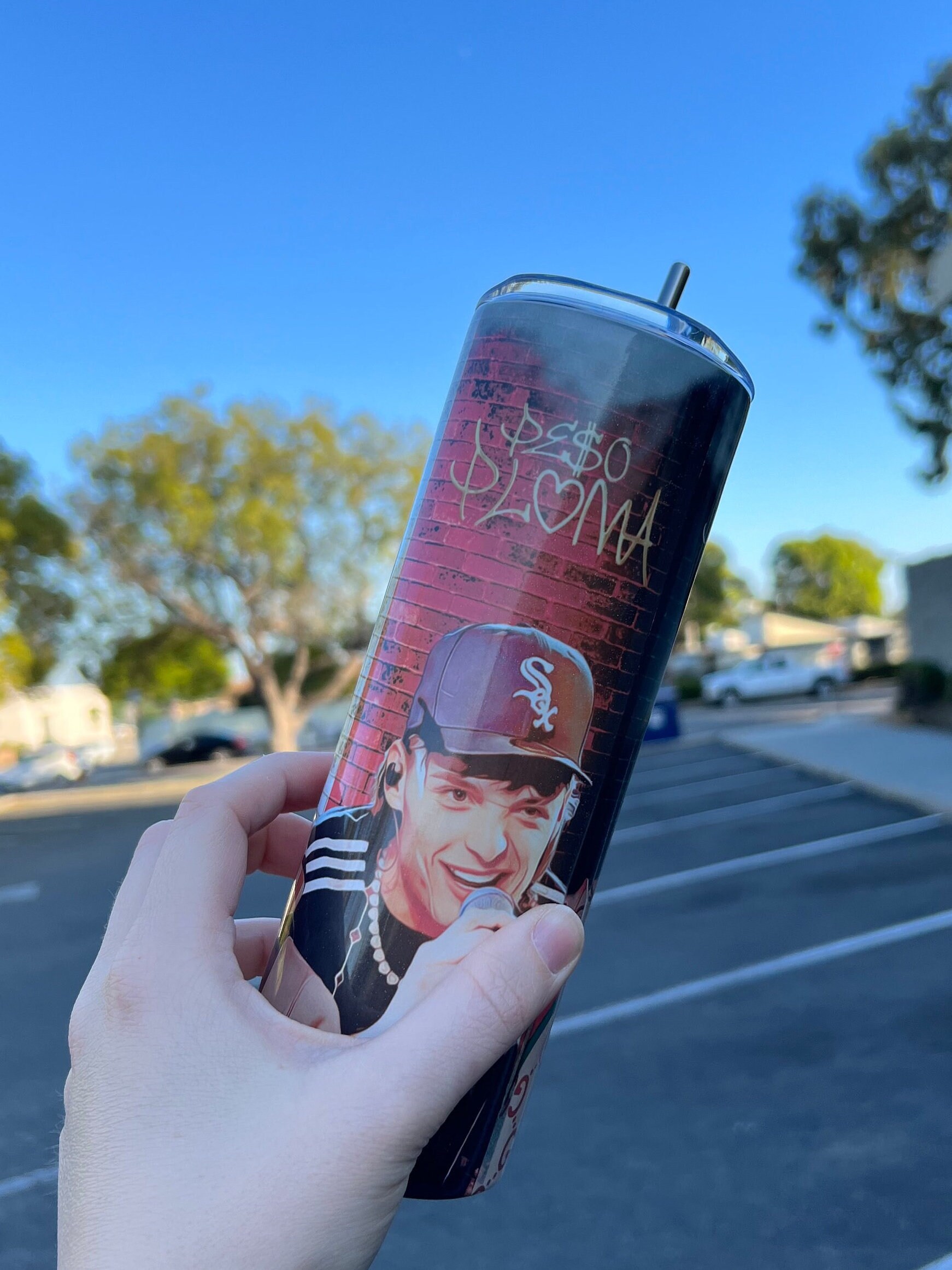 Peso Pluma 20oz Tumbler Cup With Straw Stainless Steel, Peso Pluma ...