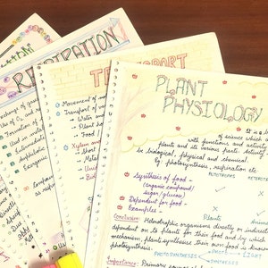 Plant Physiology | Transport in Plants | Respiration in Plants | Plant ...