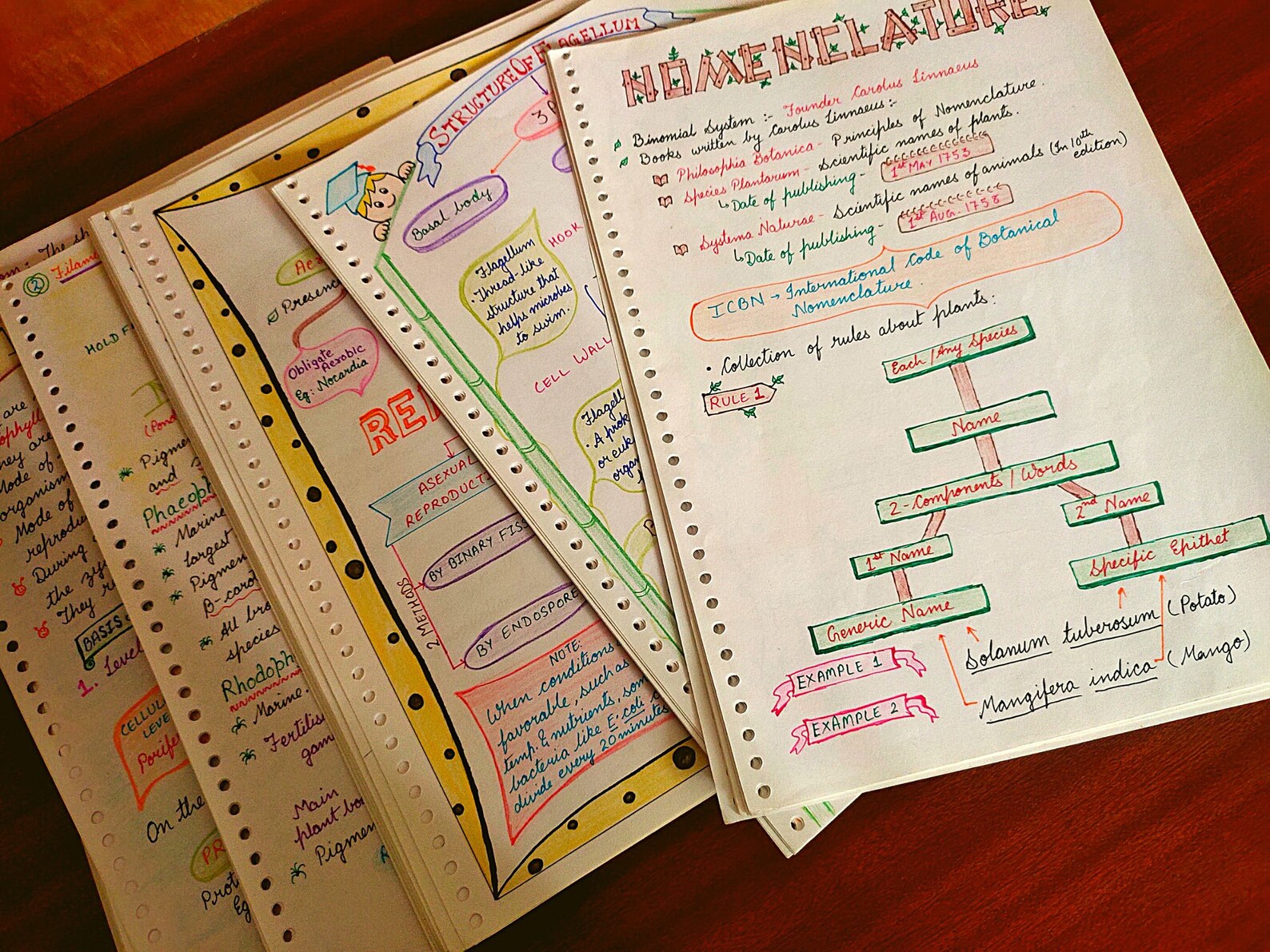 Biological Classification (five Kingdom) | Biology | Grade 11 ...