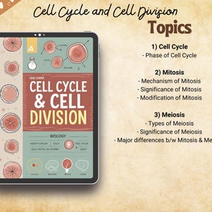 Cell Cycle and Cell Division | Mitosis and Meiosis I & II | Aesthetic ...