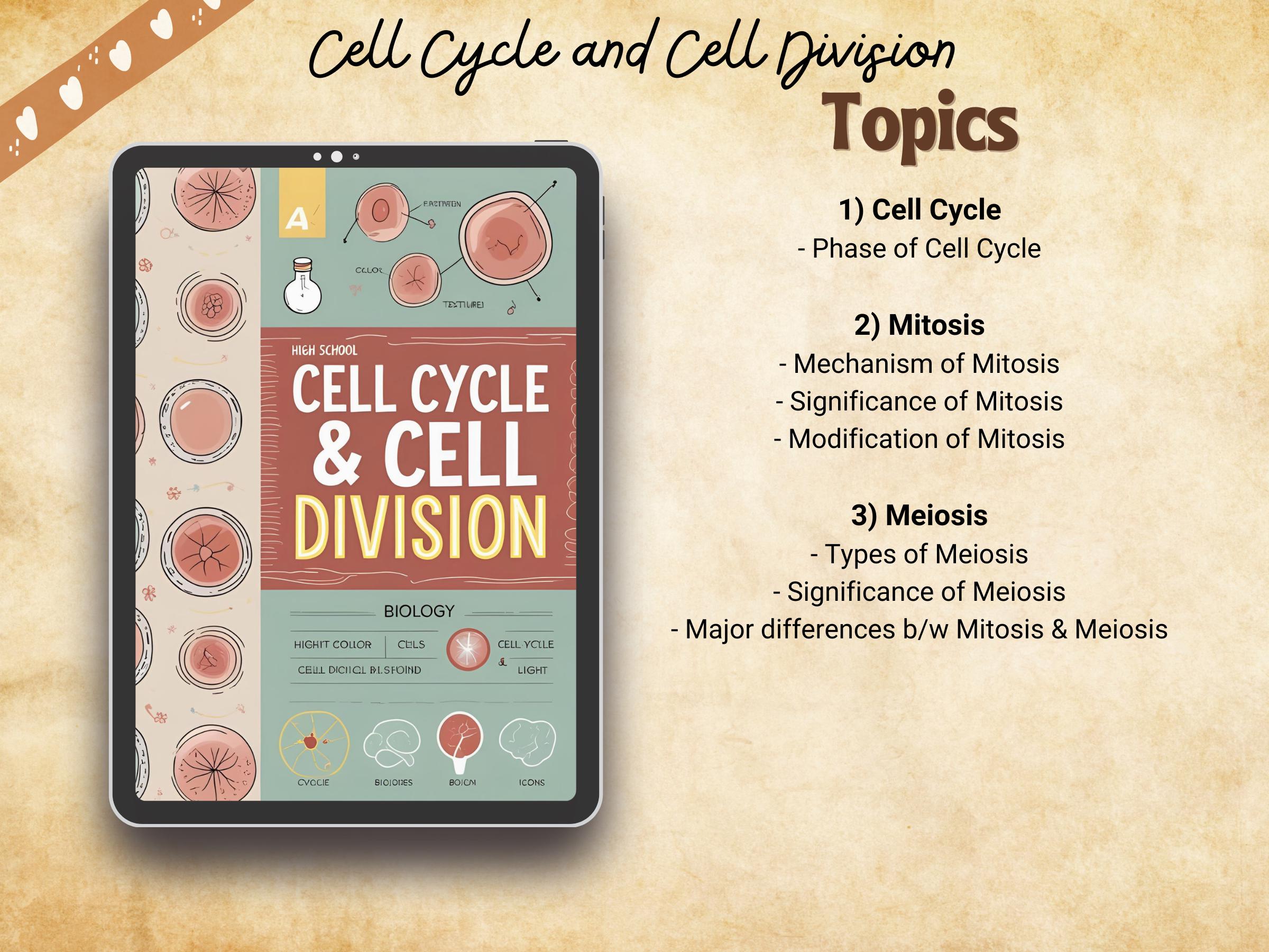 Cell Cycle and Cell Division | Mitosis and Meiosis I & II | Aesthetic ...
