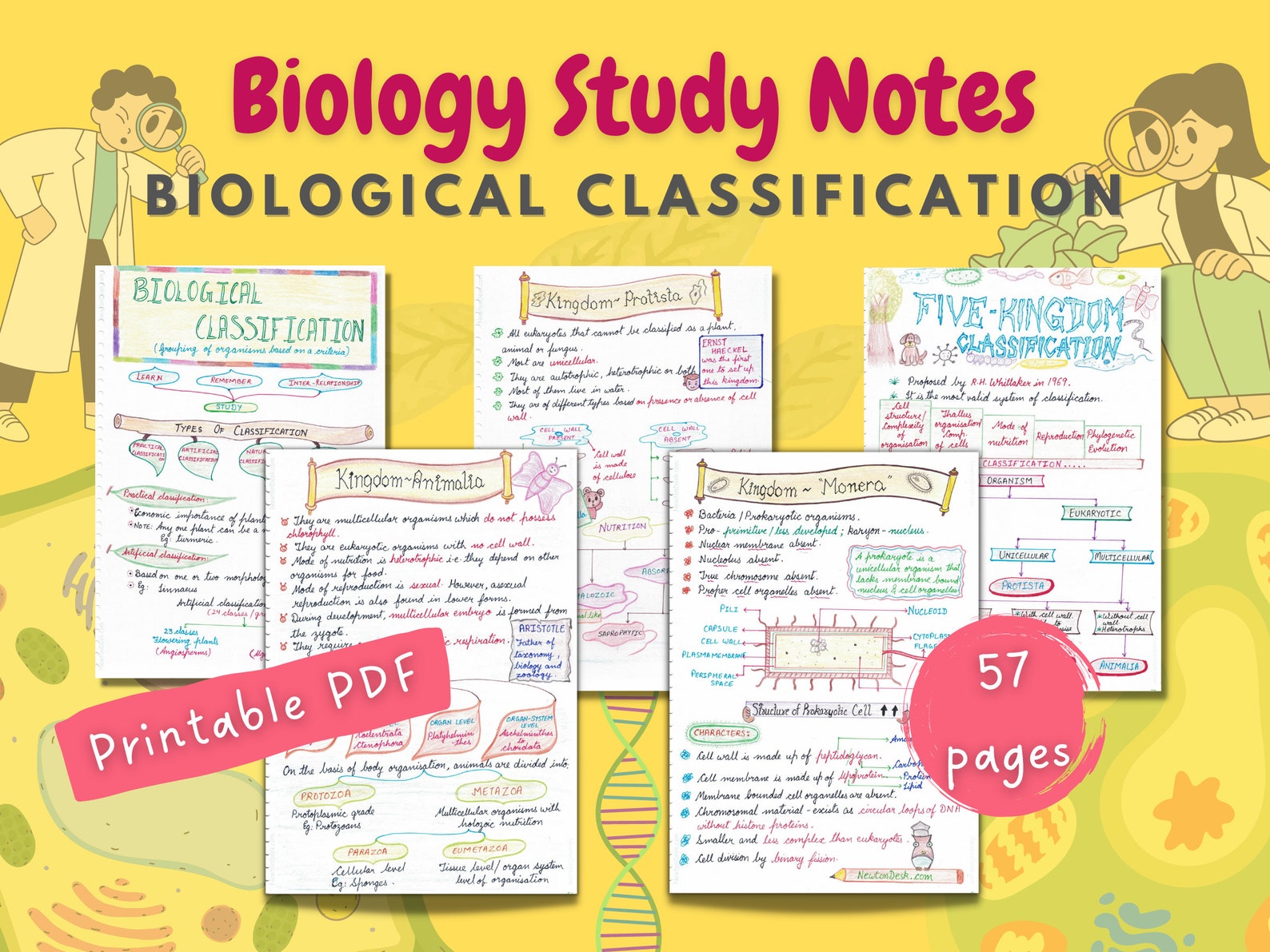 Biological Classification (five Kingdom) | Biology | Grade 11 ...