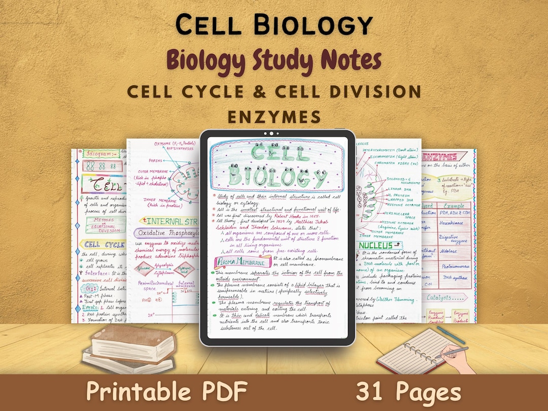 Cell Biology | Cell Cycle | Cell Division | Enzymes - Grade 11 Biology ...