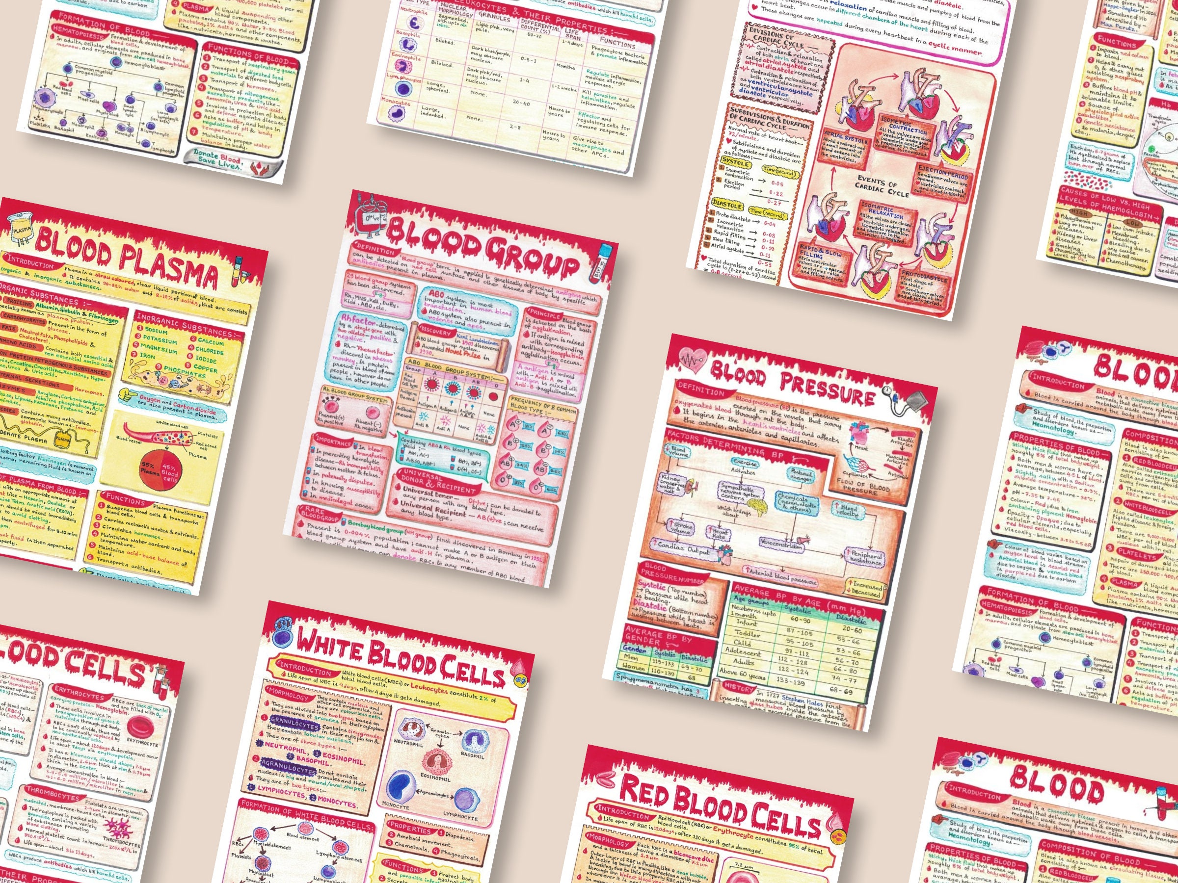 16 Science Biology Posters Bundle, Handmade Educational Posters for ...