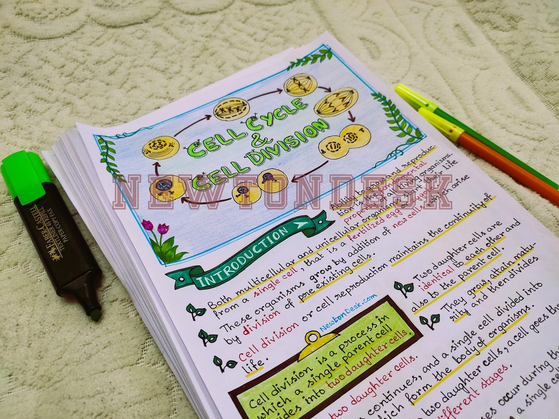 Cell Cycle and Cell Division | Mitosis and Meiosis I & II | Aesthetic ...