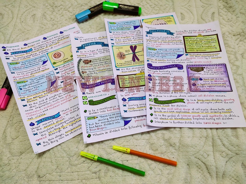 Cell Cycle and Cell Division | Mitosis and Meiosis I & II | Aesthetic ...