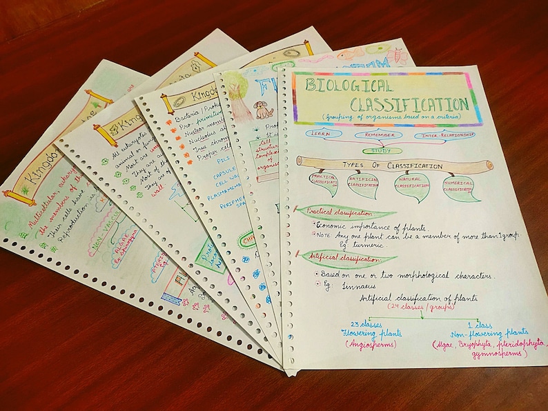 Biological Classification (five Kingdom) | Biology | Grade 11 ...