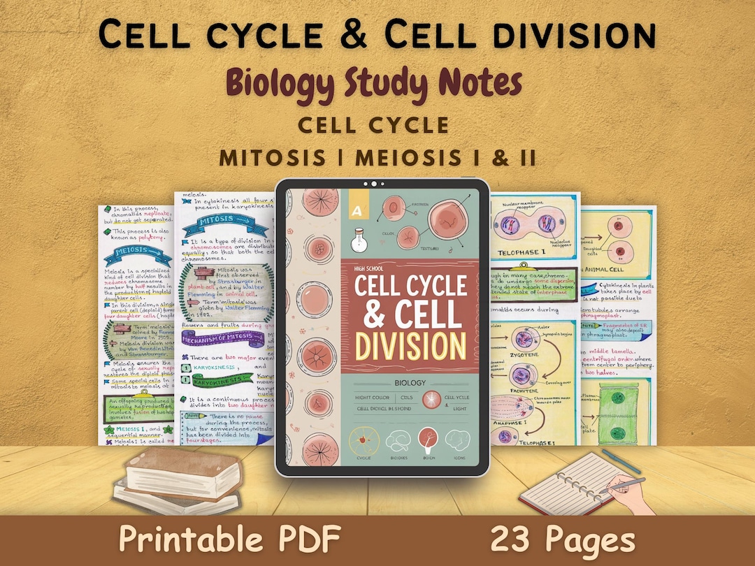 Cell Cycle and Cell Division | Mitosis and Meiosis I & II | Aesthetic ...
