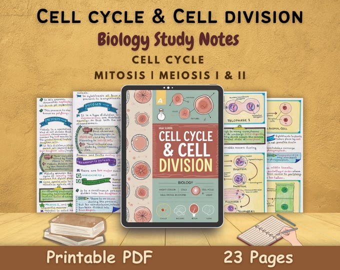 Mitosis Cell Division Foldable Cut and Paste Science Activity and ...