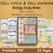 Cell Cycle and Cell Division | Mitosis and Meiosis I & II | Aesthetic ...