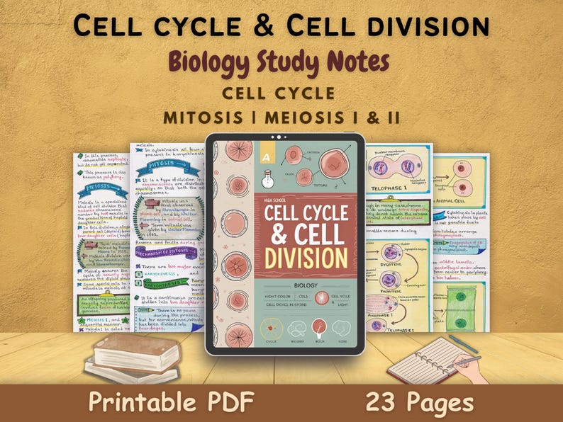 Cell Cycle and Cell Division | Mitosis and Meiosis I & II | Aesthetic ...
