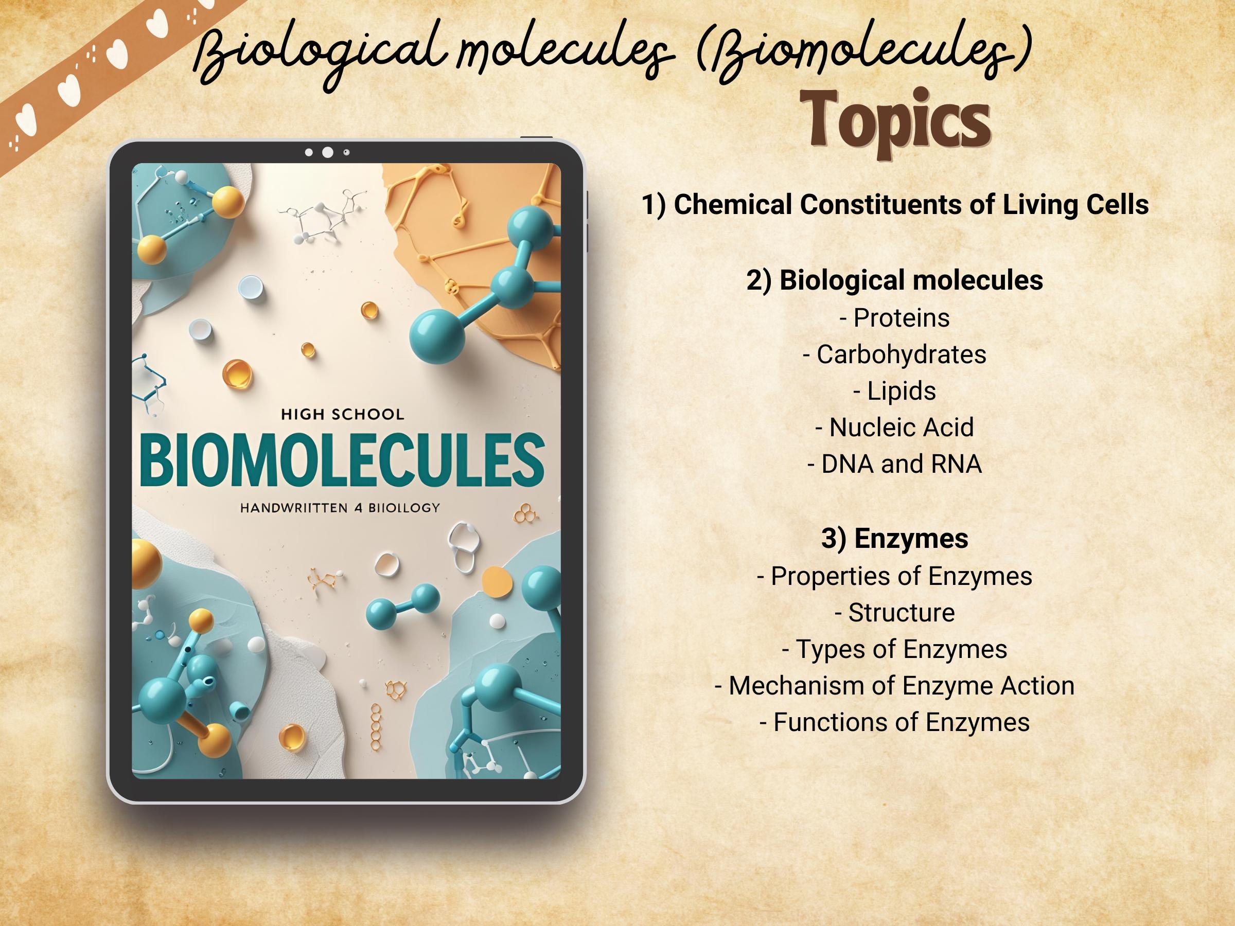 Biological Molecules | Nucleic Acids (DNA and RNA), Proteins ...