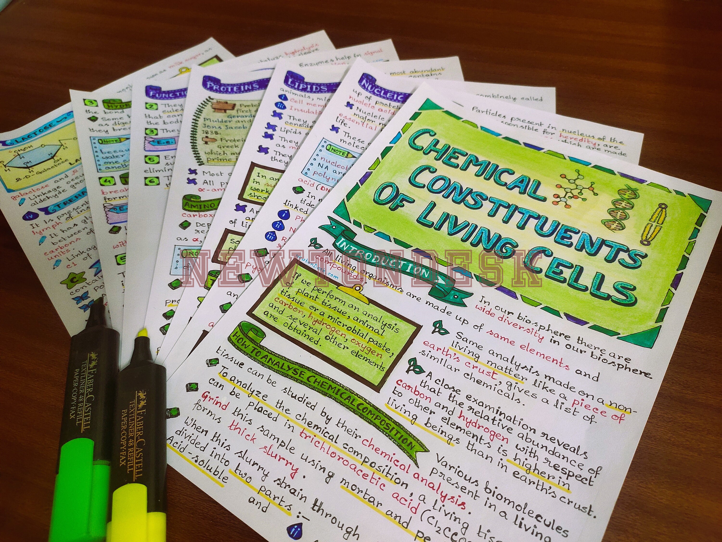 Biological Molecules | Nucleic Acids (DNA and RNA), Proteins ...