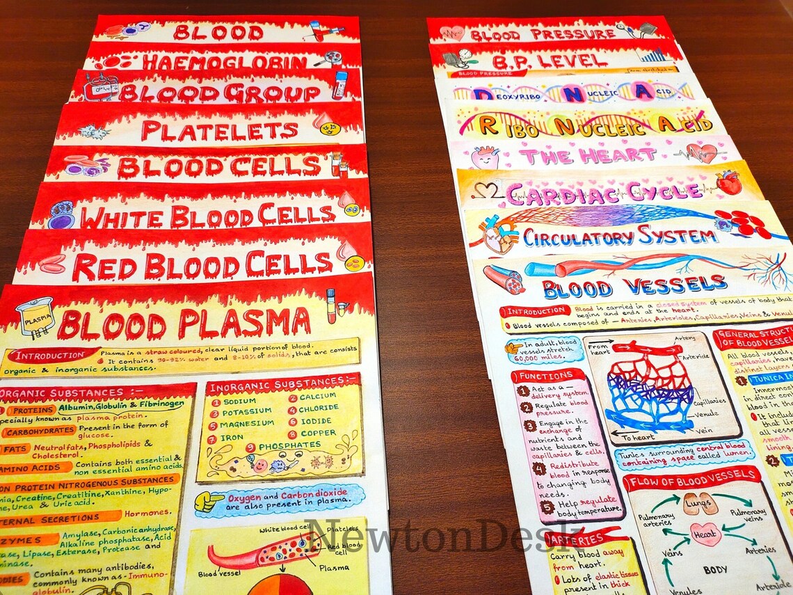 16 Science Biology Posters Bundle Handmade Educational - Etsy