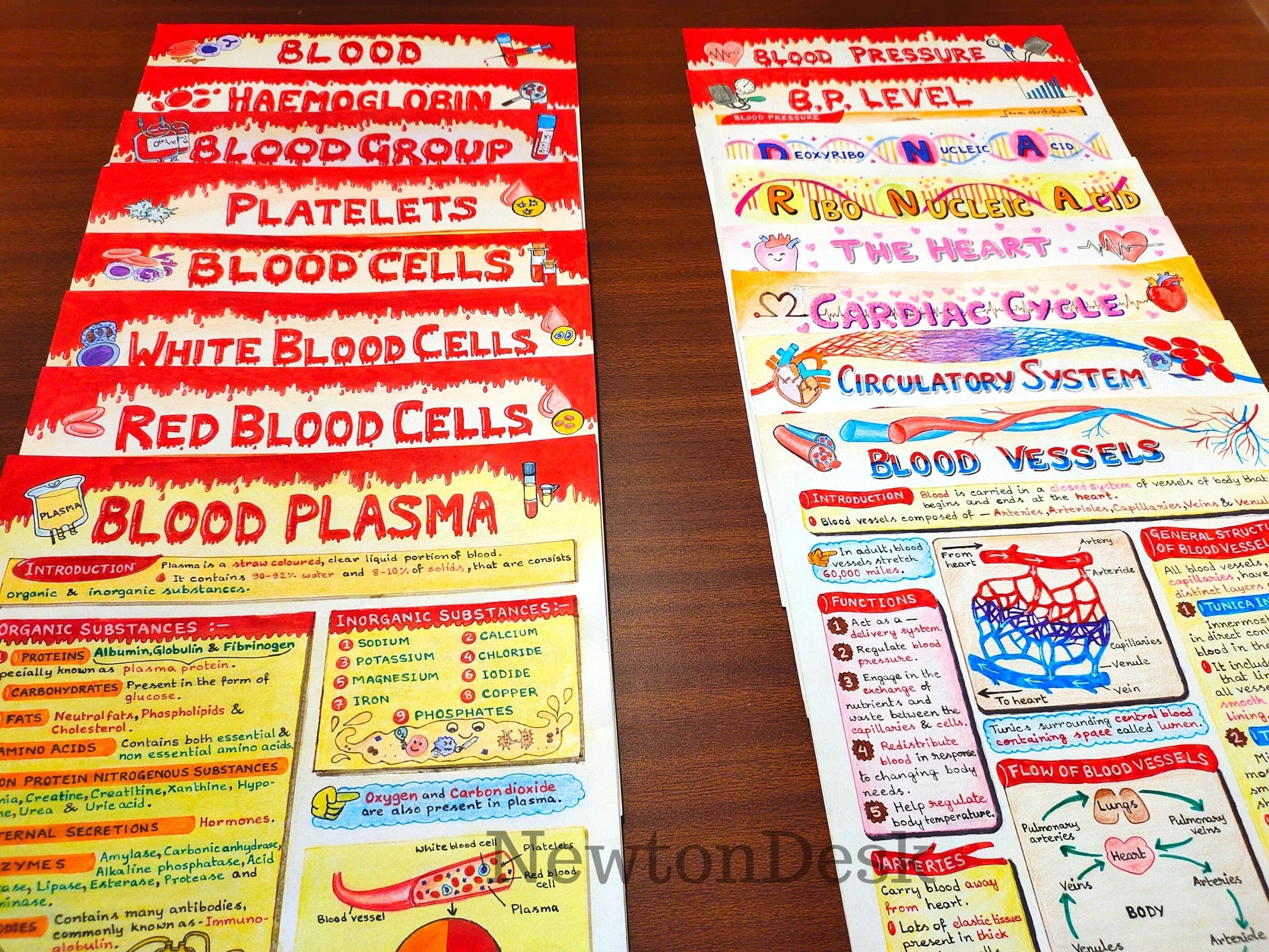 16 Science Biology Posters Bundle, Handmade Educational Posters for ...