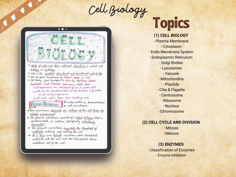Cell Biology | Cell Cycle | Cell Division | Enzymes - Grade 11 Biology ...