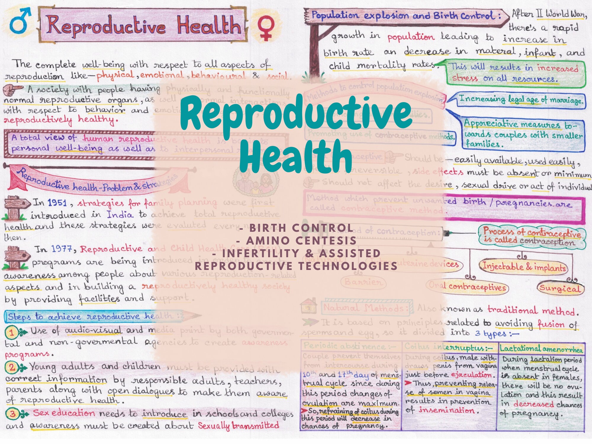 Human Reproductive Health Male & Female Biology Grade 12 Handwritten ...