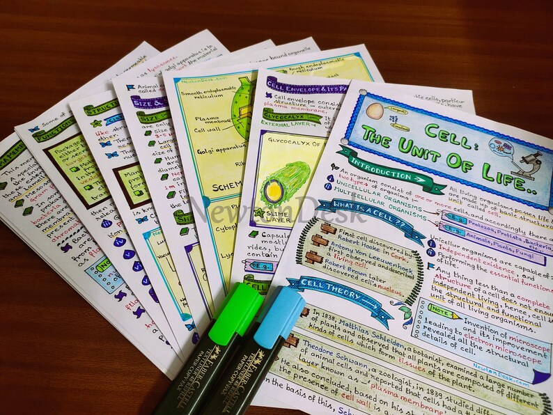 Cell Structure, Organelles and Function | Eukaryotic Cell and ...