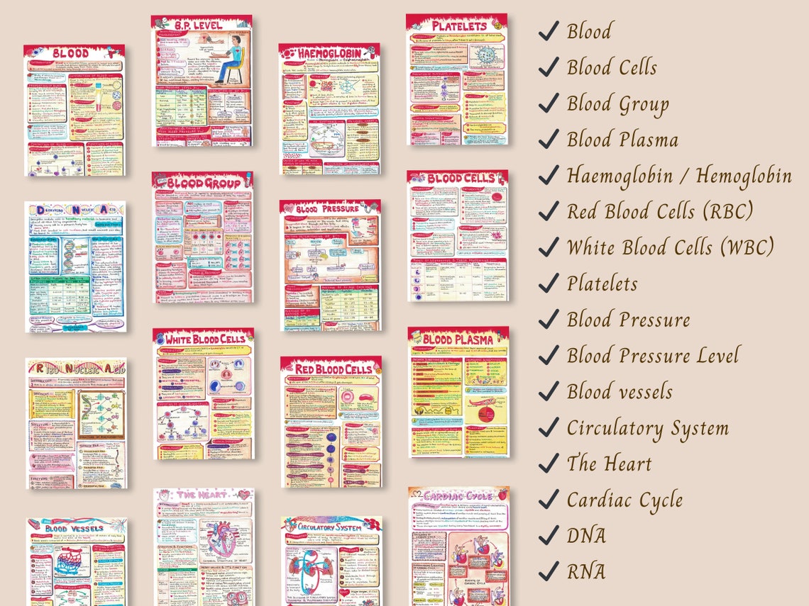 16 Science Biology Posters Bundle Handmade Educational - Etsy