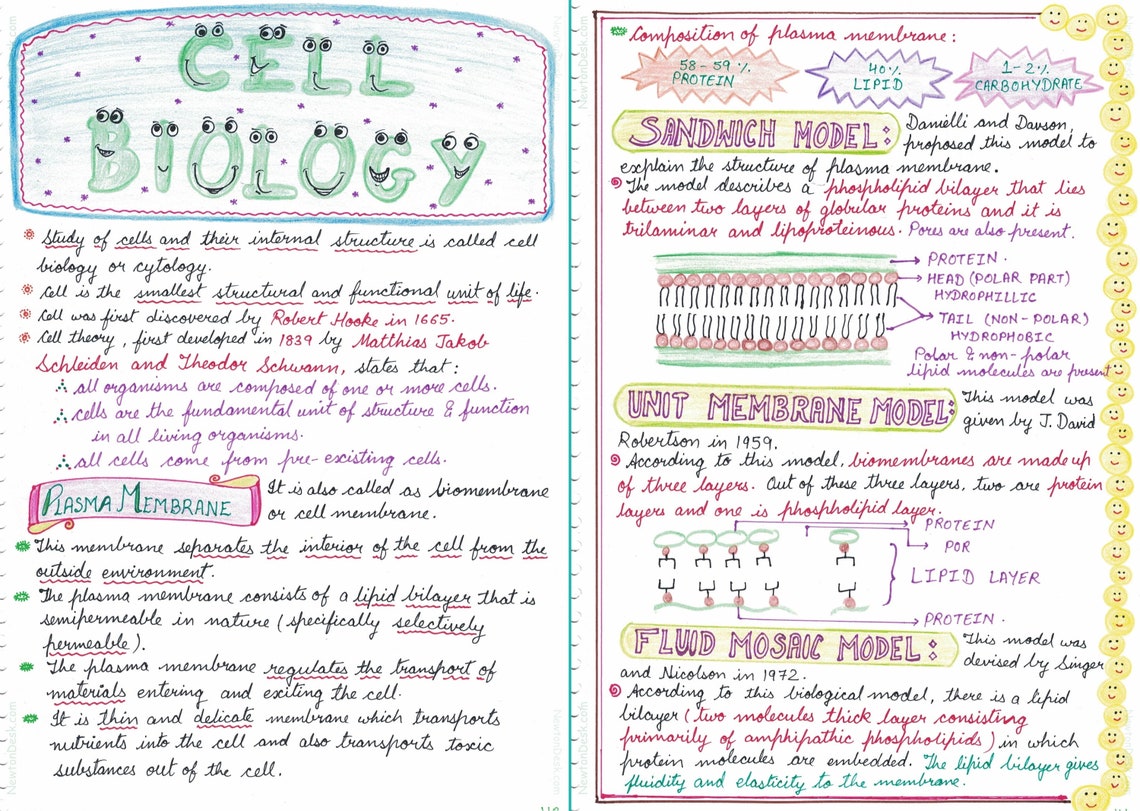 Cell Biology | Cell Cycle | Cell Division | Enzymes - Grade 11 Biology ...