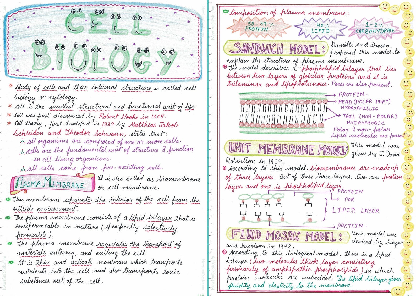 Cell Biology | Cell Cycle | Cell Division | Enzymes - Grade 11 Biology ...