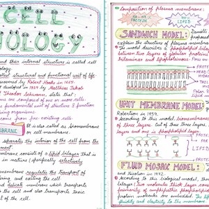 Cell Biology | Cell Cycle | Cell Division | Enzymes - Grade 11 Biology ...