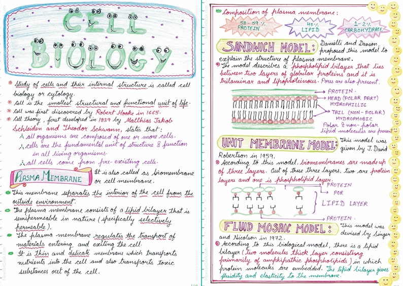 Cell Biology | Cell Cycle | Cell Division | Enzymes - Grade 11 Biology ...