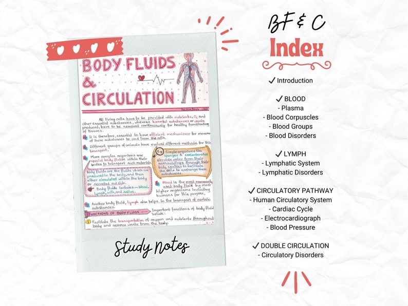 Body Fluids & Circulation Study Notes PDF | Blood Plasma and Groups ...