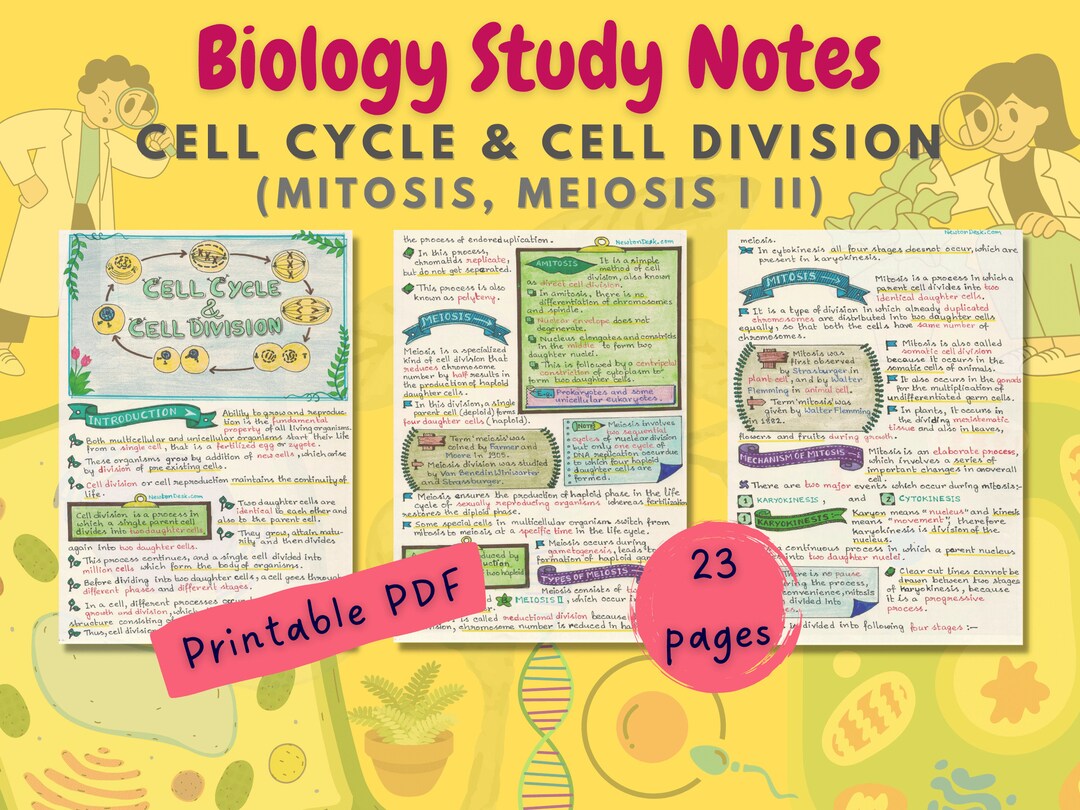 Cell Cycle and Cell Division Mitosis and Meiosis I & II - Etsy