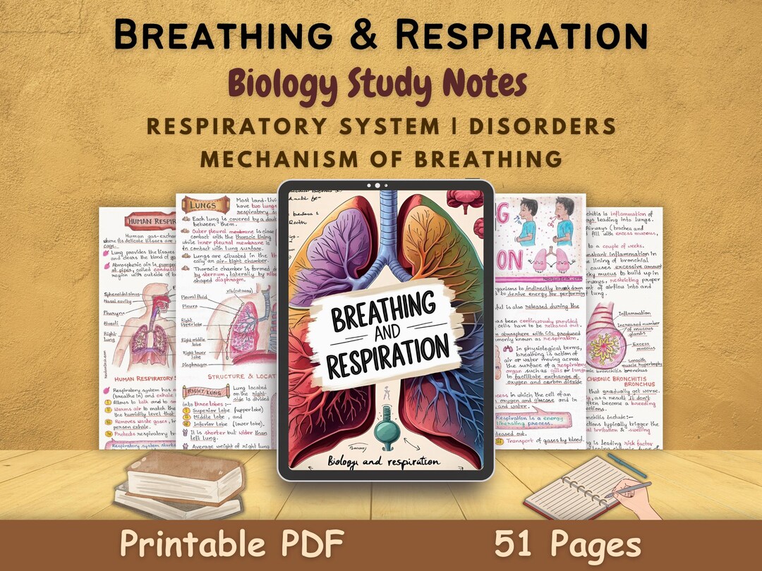 Human Respiratory System | Breathing and Respiration | Disorders | High ...