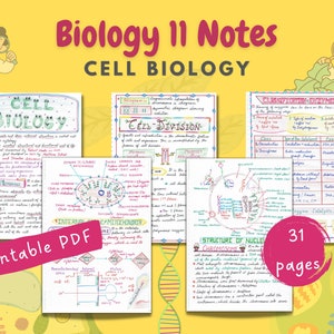 Cell Biology Cell Cycle Cell Division Enzymes Grade 11 - Etsy