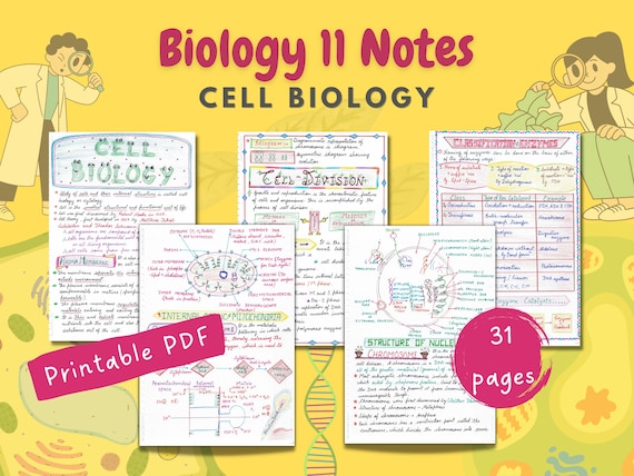 Cell Biology Cell Cycle Cell Division Enzymes Grade 11 - Etsy