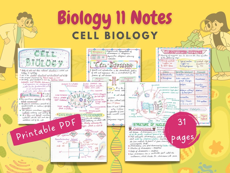 Cell Biology Cell Cycle Cell Division Enzymes Grade 11 - Etsy