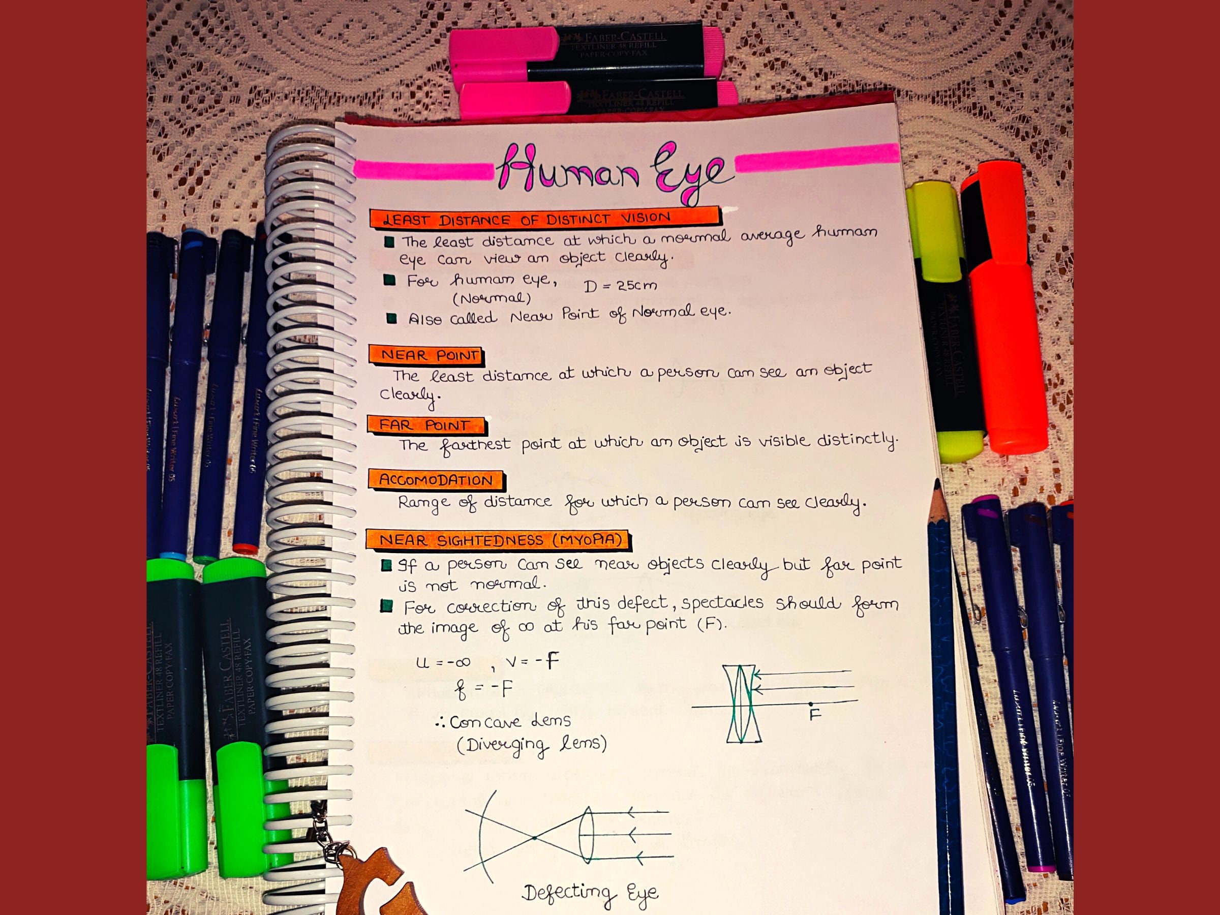Physics Study Notes Bundle PDF | Complete Physics Packet for 11th and ...