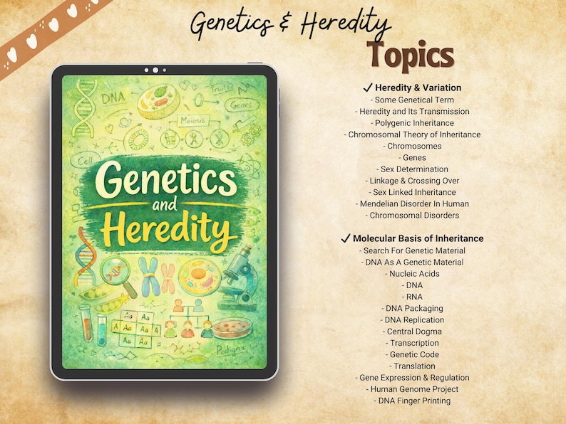 Genetics and Heredity Biology Notes PDF | Grade 12, A Level, IB Biology ...