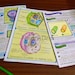 Cell Structure, Organelles and Function Eukaryotic Cell and Prokaryotic ...