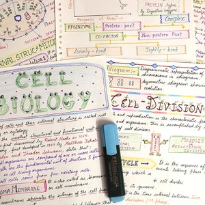 Cell Biology | Cell Cycle | Cell Division | Enzymes - Grade 11 Biology ...