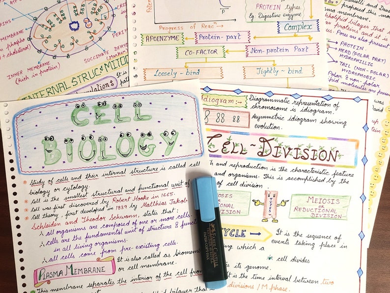 Cell Biology | Cell Cycle | Cell Division | Enzymes - Grade 11 Biology ...