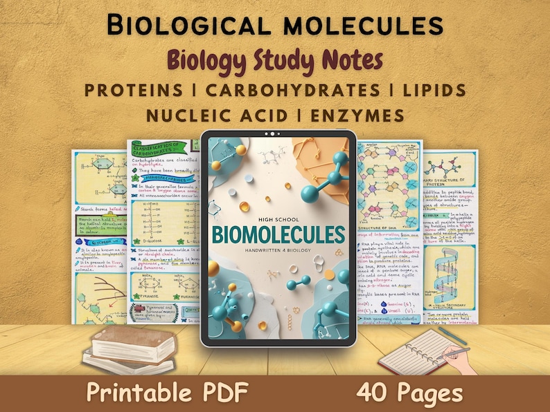 Biological Molecules | Nucleic Acids (DNA and RNA), Proteins ...