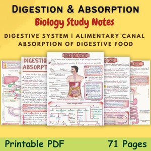 Math Study Notes Bundle PDF Complete Mathematics for 11th and 12th ...