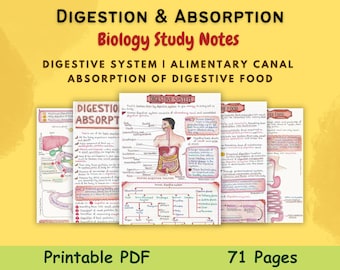 The Digestive System Study Notes - Etsy