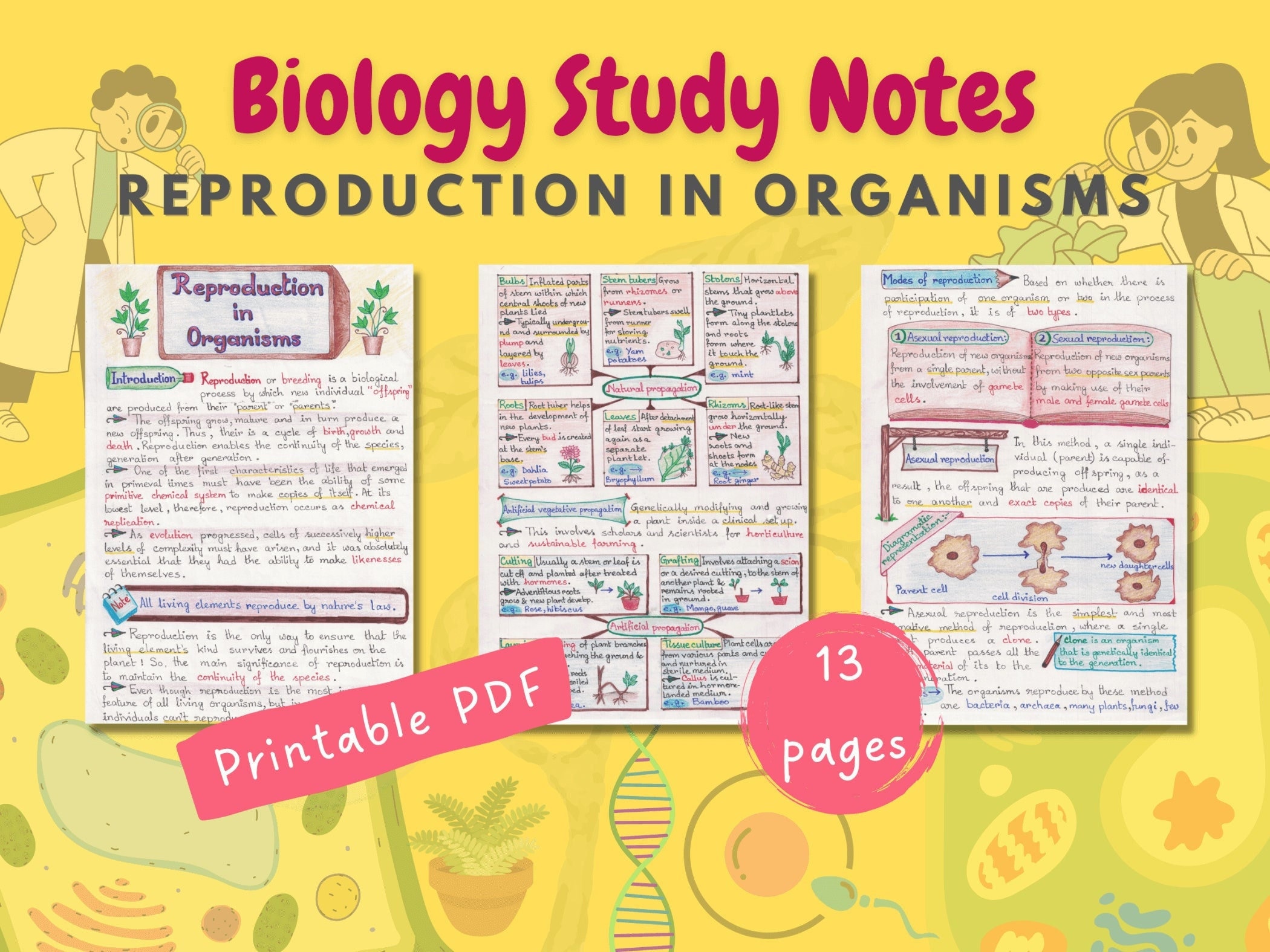 Reproduction in Organisms Biology Grade 12 Handwritten Color Study ...