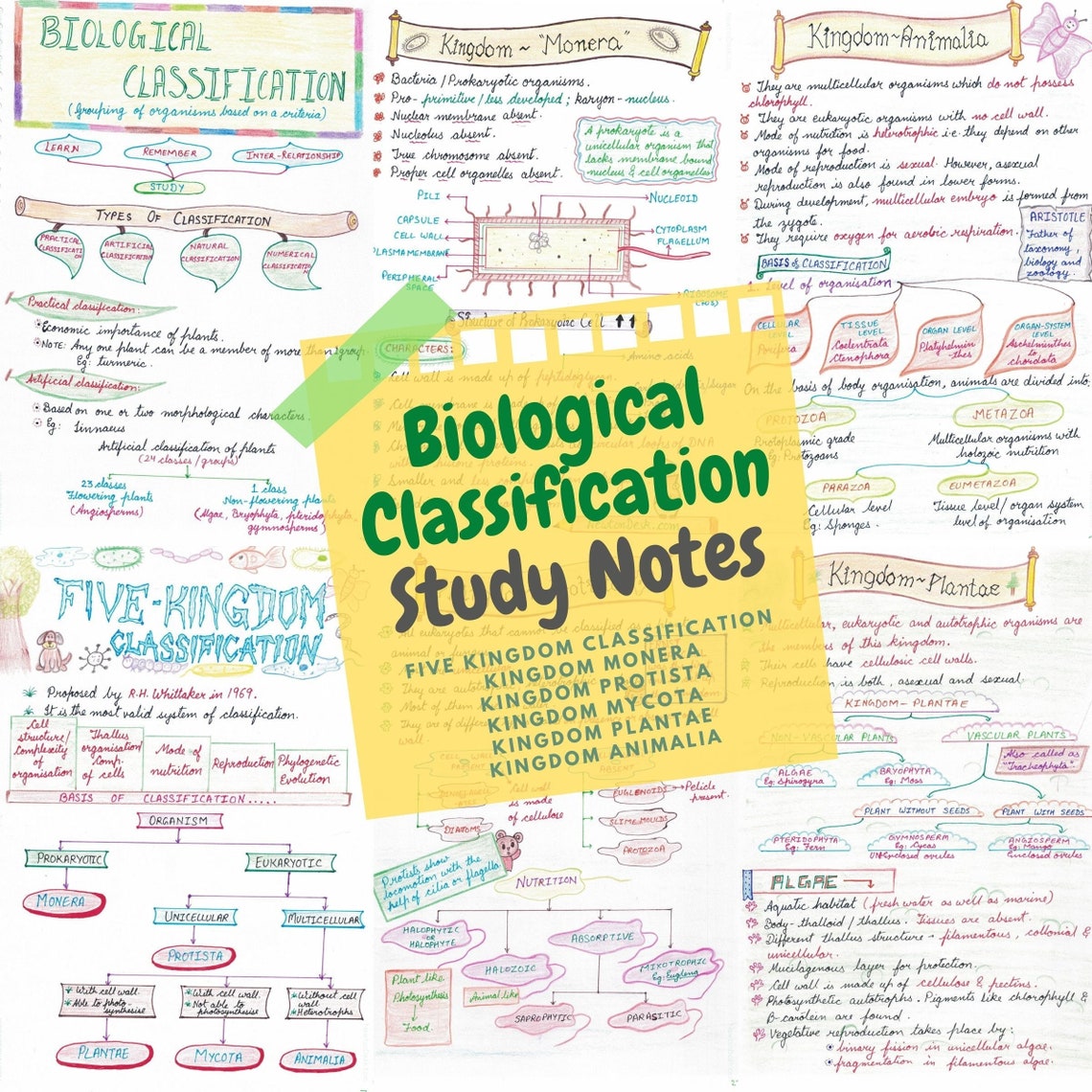 Biological Classification (five Kingdom) | Biology | Grade 11 ...