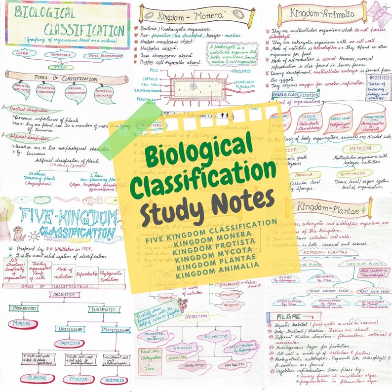 Biological Classification (five Kingdom) | Biology | Grade 11 ...