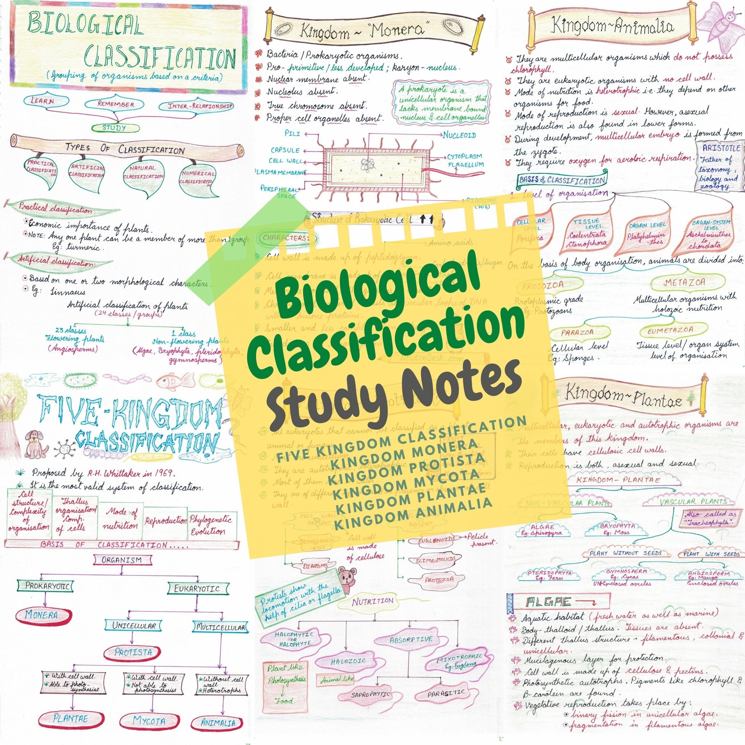 Biological Classification (five Kingdom) | Biology | Grade 11 ...