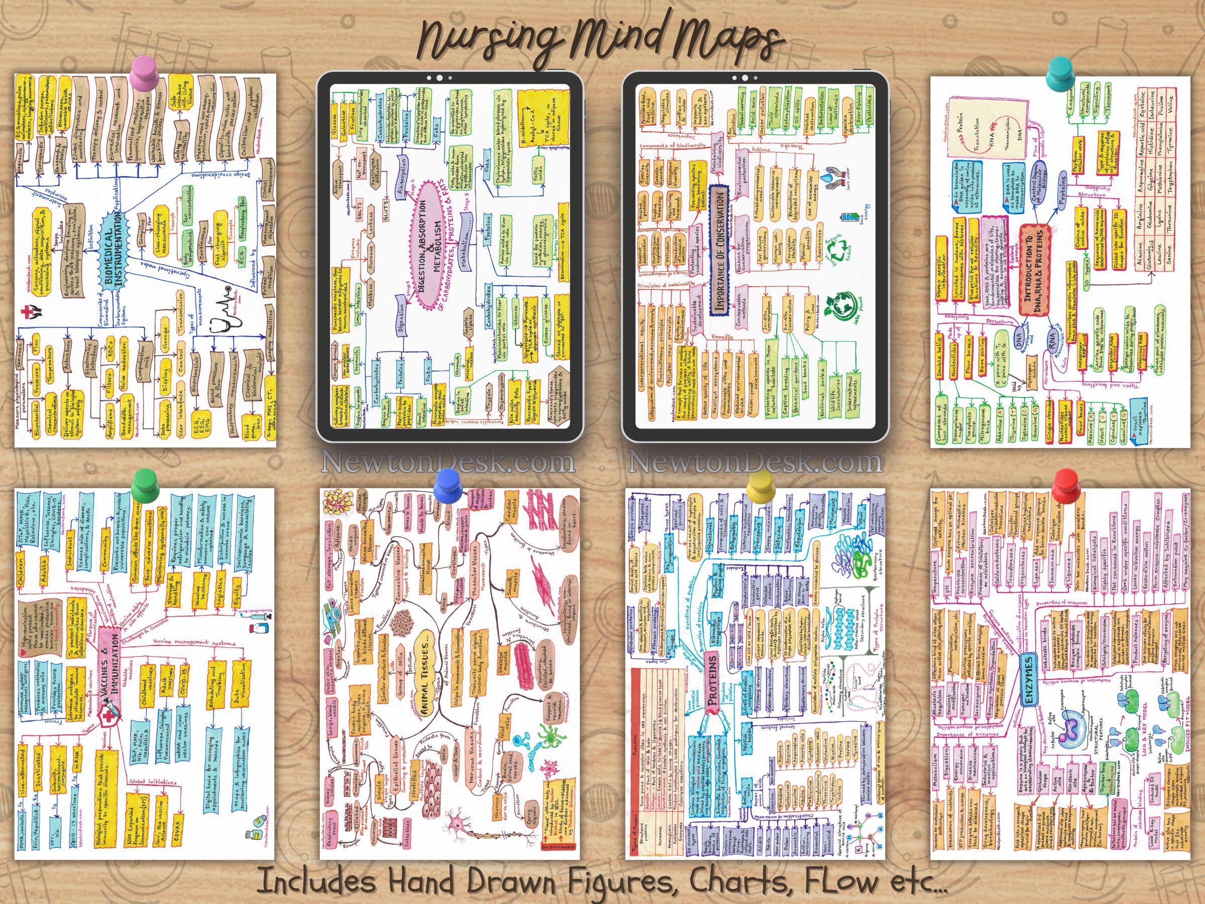 Nursing Mind Maps Printable PDF Study Bundle Visual Notes | for Medical ...