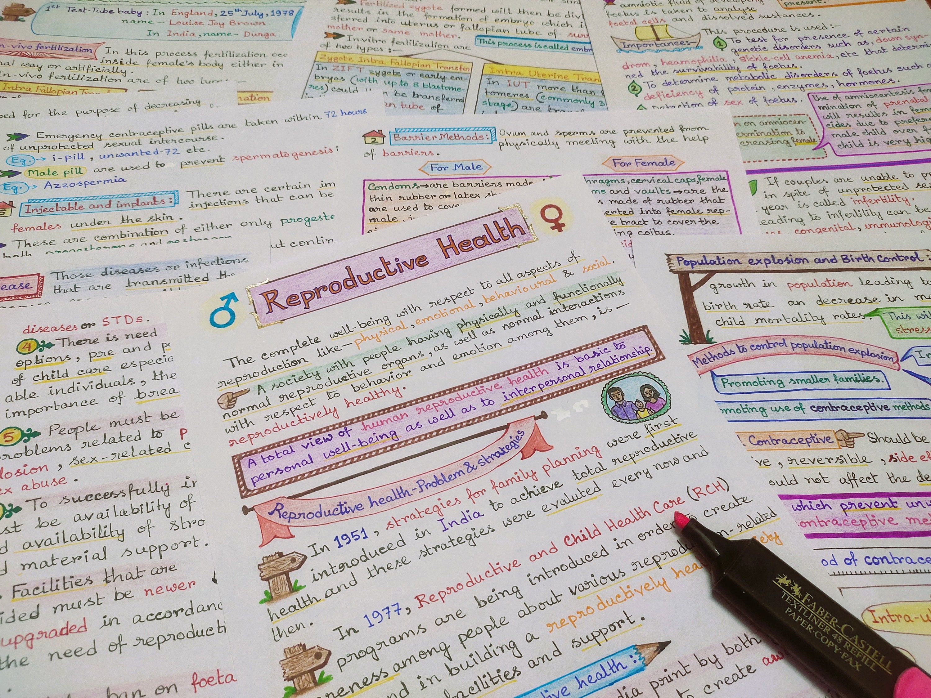 Human Reproductive Health Male & Female Biology Grade 12 Handwritten ...