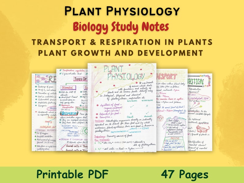 Plant Physiology Transport in Plants Respiration in Plants Plant Growth ...