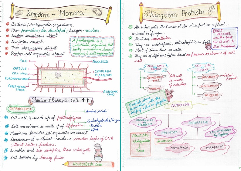 Biological Classification (five Kingdom) | Biology | Grade 11 ...